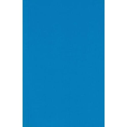 Big Book – Alcoholics Anonymous